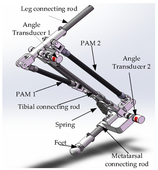 Design and Joint Position Control of Bionic Jumping Leg Driven by Pneumatic Artificial Muscles