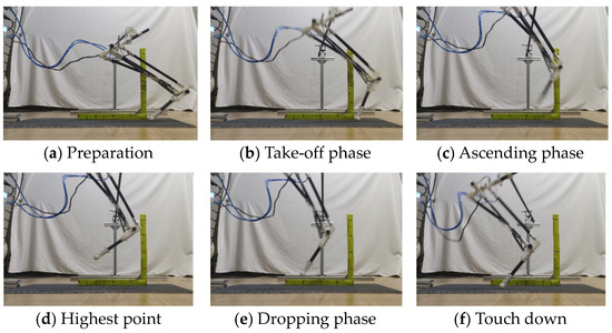 Design and Joint Position Control of Bionic Jumping Leg Driven by ...