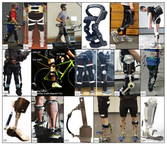 A Wearable Lower Limb Exoskeleton: Reducing the Energy Cost of Human ...