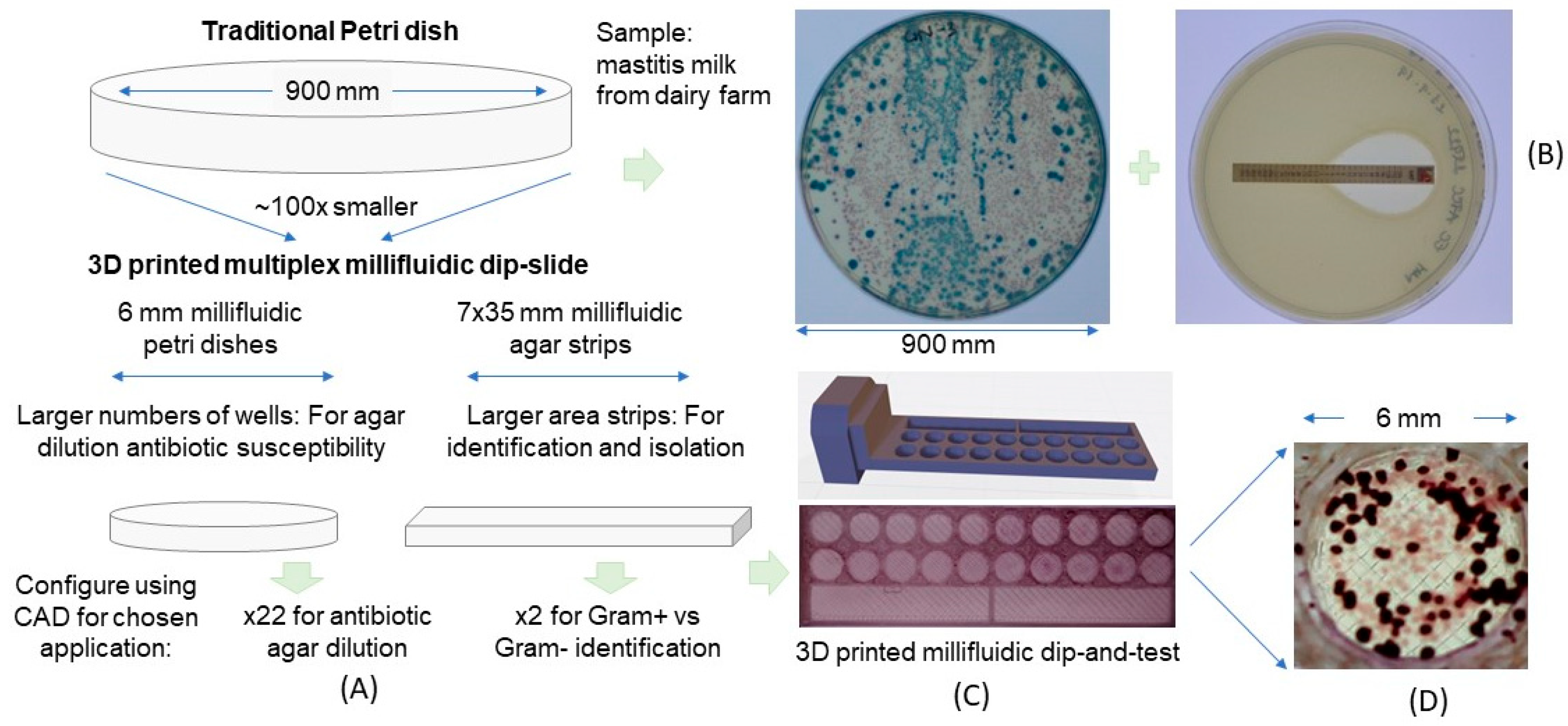 Micromachines | Free Full-Text | 3D-Printed Dip Slides Miniaturize ... Micromachines | Free Full-Text | 3D-Printed Dip Slides Miniaturize ...