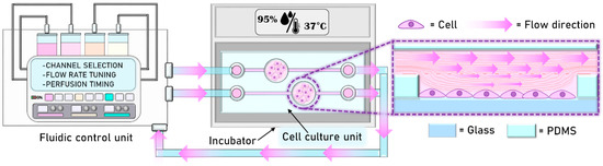 A Novel Fluidic Platform for Semi-Automated Cell Culture into Multiwell ...