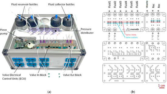 A Novel Fluidic Platform for Semi-Automated Cell Culture into Multiwell ...