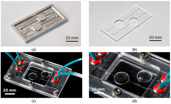 A Novel Fluidic Platform for Semi-Automated Cell Culture into Multiwell ...