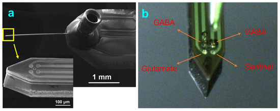 Brain-Implantable Multifunctional Probe for Simultaneous Detection of ...