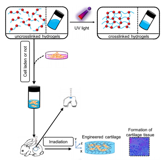 Photo-Crosslinkable Hydrogels for 3D Bioprinting in the Repair of ...
