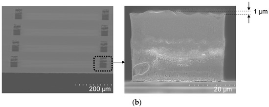 Implementation of Flip-Chip Microbump Bonding between InP and SiC ...