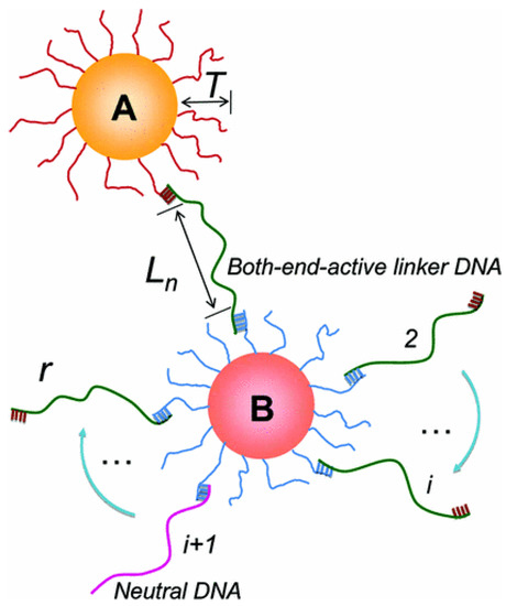 Self-Assembly of DNA-Grafted Colloids: A Review of Challenges