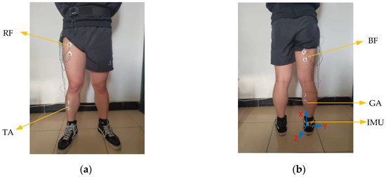 Human Motion Pattern Recognition and Feature Extraction: An Approach Using Multi-Information Fusion