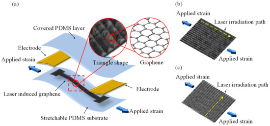 Laser-Induced Graphene Stretchable Strain Sensor with Vertical and Parallel Patterns