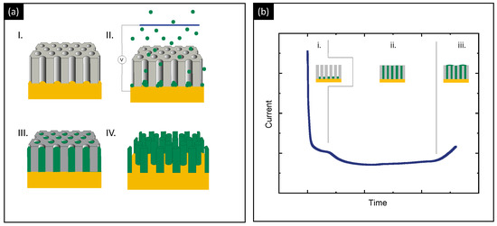 Electrodeposition as a Tool for Nanostructuring Magnetic Materials