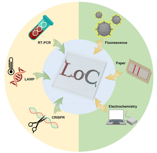 Microfluidics-Based Point-of-Care Testing (POCT) Devices In, 51% OFF Microfluidics-Based Point-of-Care Testing (POCT) Devices In, 51% OFF