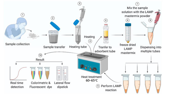 Microfluidics-Based POCT for SARS-CoV-2 Diagnostics