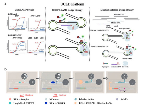 Microfluidics-Based POCT for SARS-CoV-2 Diagnostics