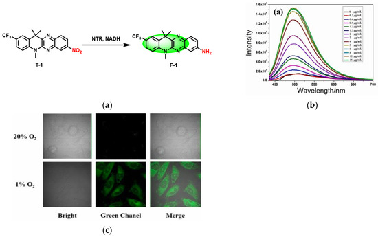Small-Molecule Fluorescent Probes for Detecting Several Abnormally ...