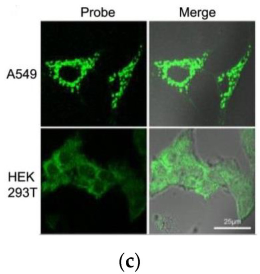 Small-Molecule Fluorescent Probes for Detecting Several Abnormally ...