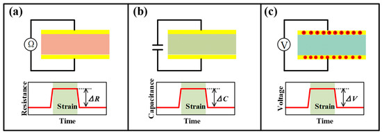 A Focused Review on the Flexible Wearable Sensors for Sports: From ...