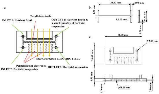 3D Printed Microfluidic Bioreactors Used for the Preferential Growth of ...