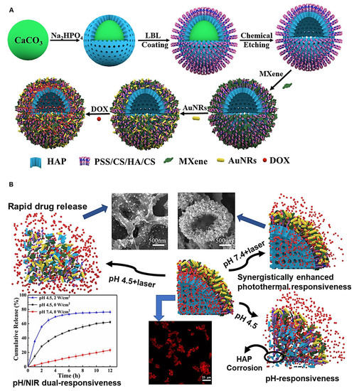 MXene-Chitosan Composites and Their Biomedical Potentials