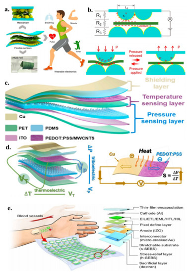 Review of Flexible Wearable Sensor Devices for Biomedical Application