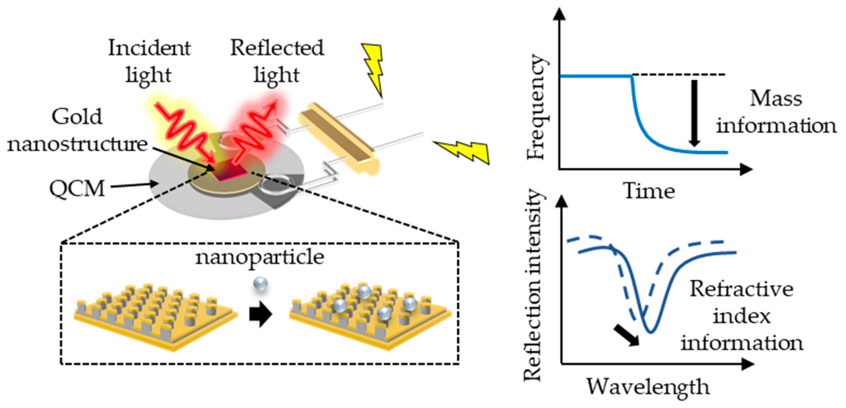 Fabrication of Gold Nanostructures on Quartz Crystal Microbalance Surface Using Nanoimprint ...