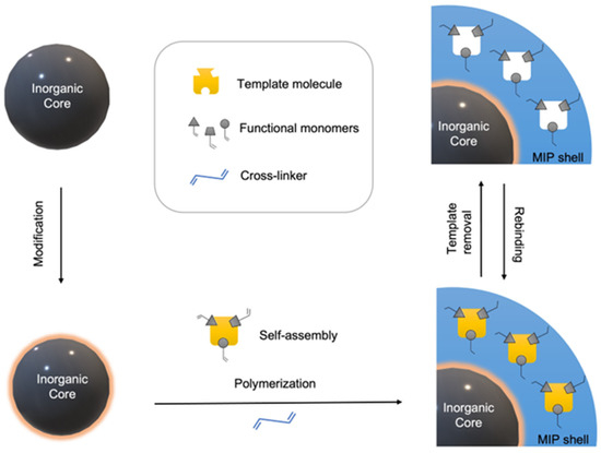 Molecularly Imprinted Polymer-Coated Inorganic Nanoparticles: Fabrication and Biomedical ...