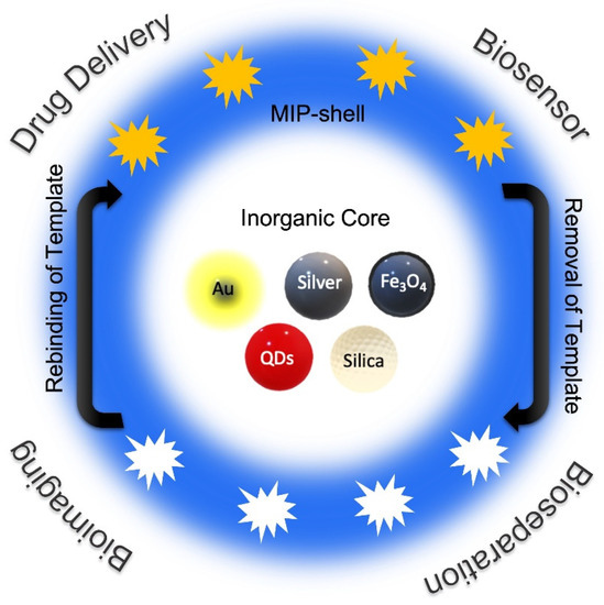 Molecularly Imprinted Polymer-Coated Inorganic Nanoparticles: Fabrication and Biomedical ...