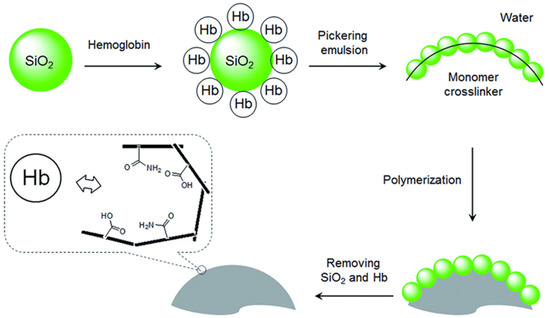 Molecularly Imprinted Polymer-Coated Inorganic Nanoparticles: Fabrication and Biomedical ...