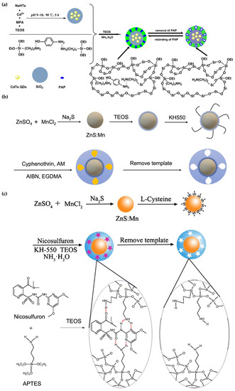 Molecularly Imprinted Polymer-Coated Inorganic Nanoparticles: Fabrication and Biomedical ...