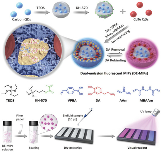 Molecularly Imprinted Polymer-Coated Inorganic Nanoparticles: Fabrication and Biomedical ...