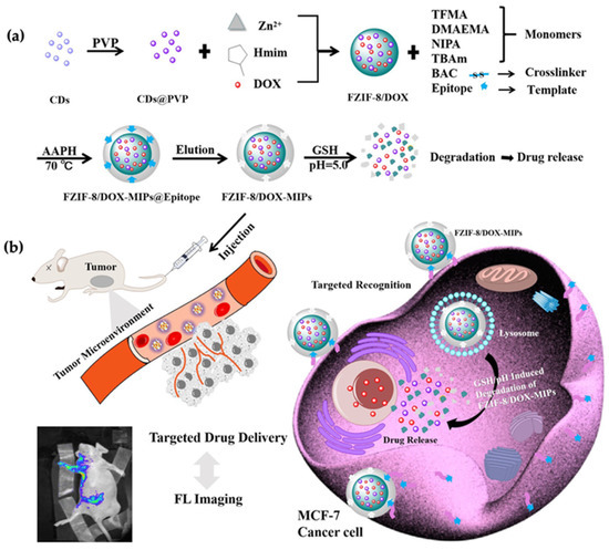 Molecularly Imprinted Polymer-Coated Inorganic Nanoparticles: Fabrication and Biomedical ...