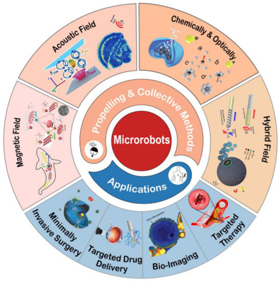 Micromachines | Free Full-Text | Recent Process in Microrobots: From Propulsion to Swarming for ...