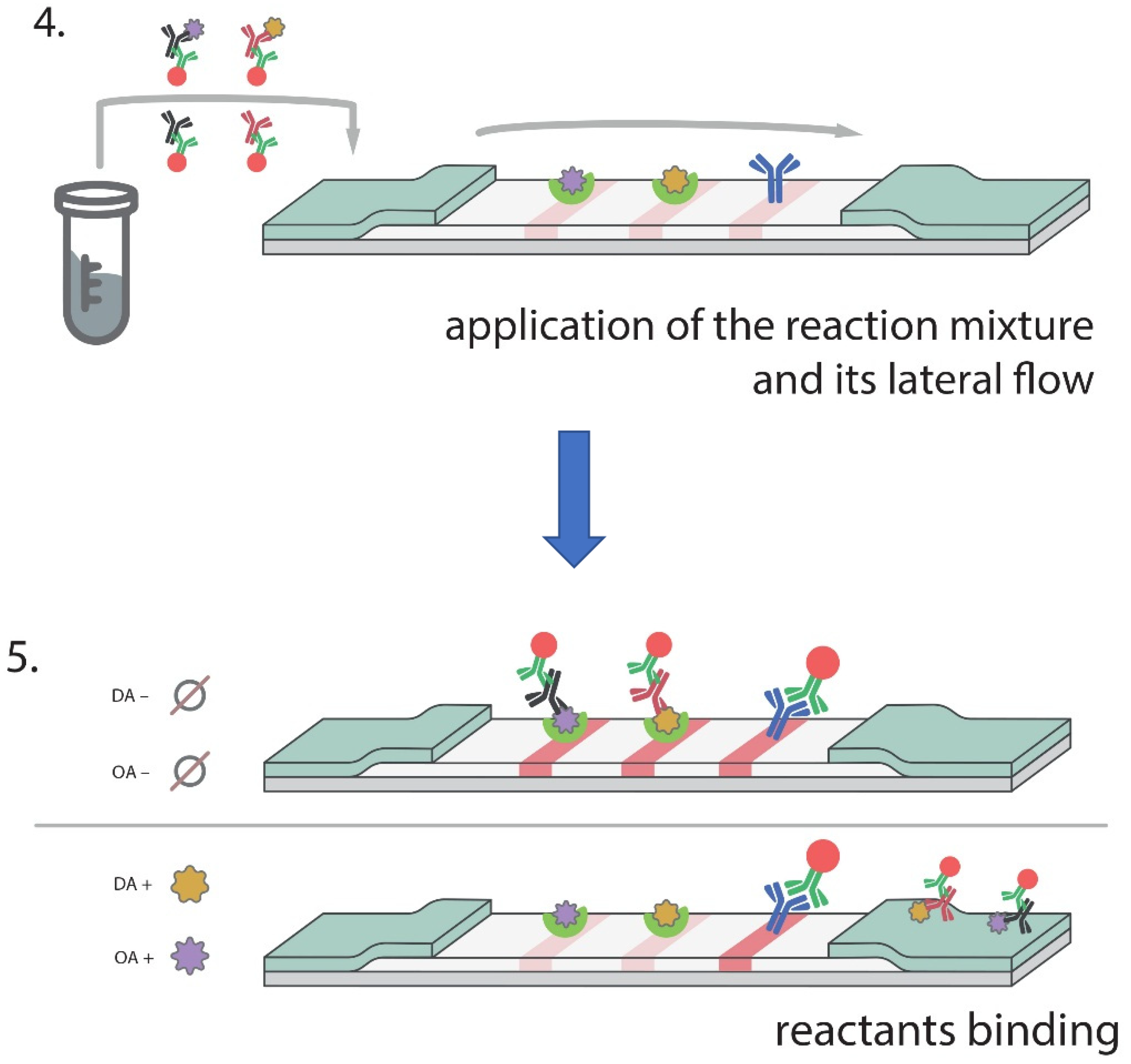 Micromachines | Free Full-Text | Double Immunochromatographic Test ...