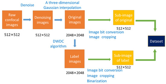 Super-Resolution Reconstruction of Cytoskeleton Image Based on A-Net ...
