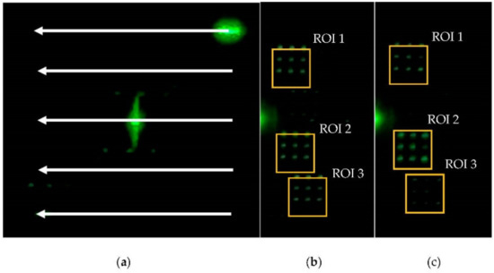 Real-Time CGH Generation by CUDA-OpenGL Interoperability for Adaptive Beam Steering with a MEMS ...