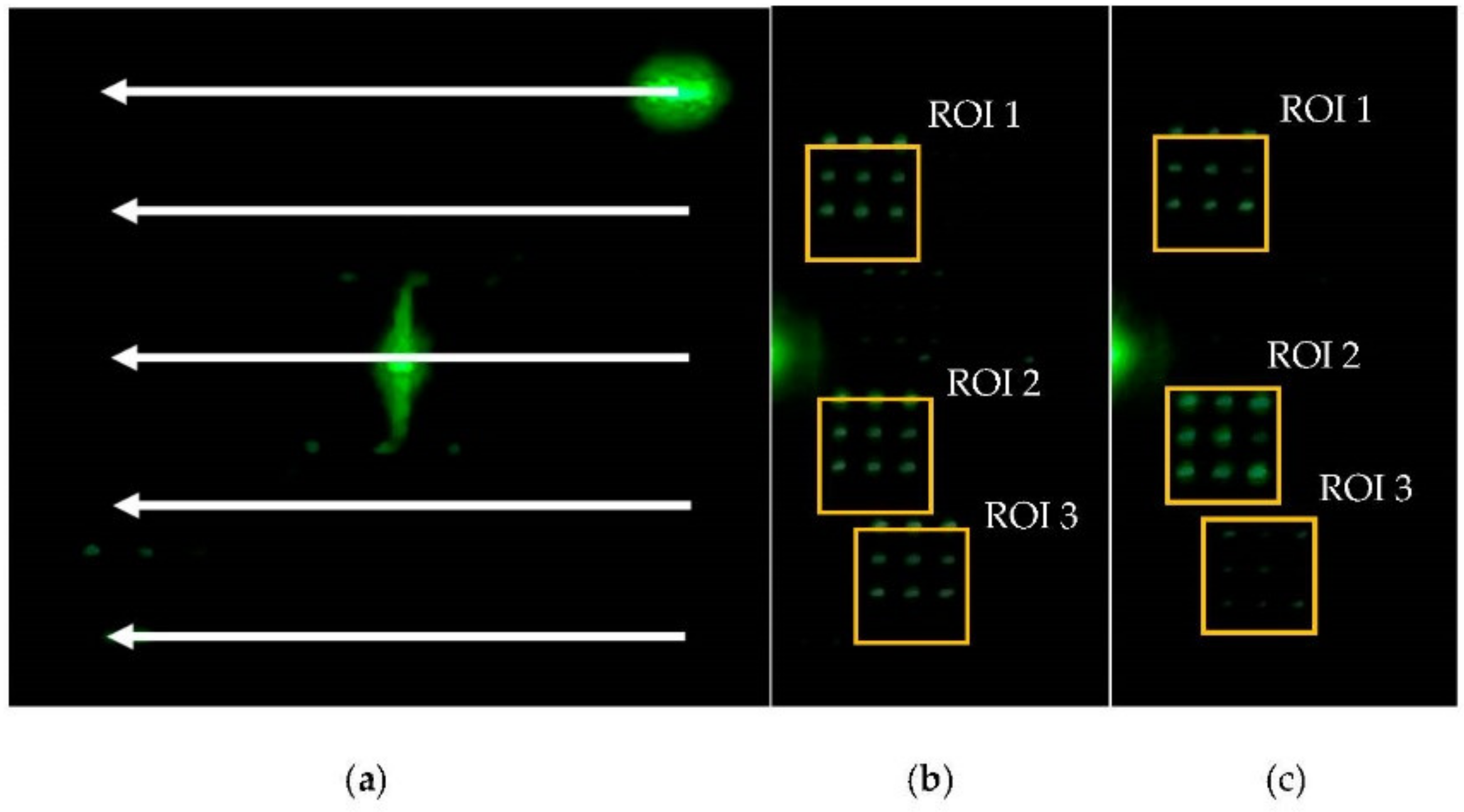 Real-Time CGH Generation by CUDA-OpenGL Interoperability for Adaptive Beam Steering with a MEMS ...