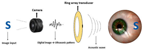 Design and Simulation of a Ring Transducer Array for Ultrasound Retinal ...