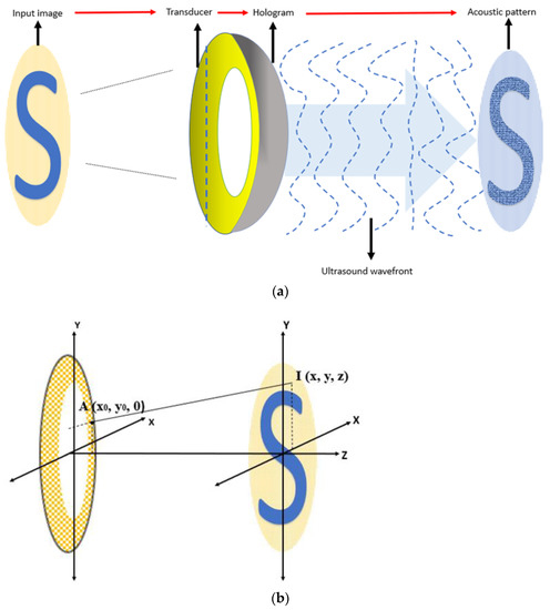 Design and Simulation of a Ring Transducer Array for Ultrasound Retinal ...