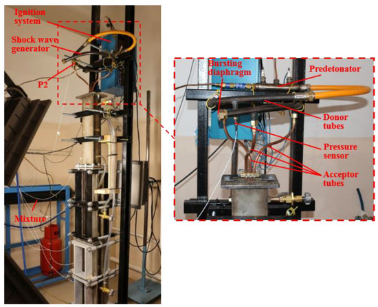 Interaction of Shock Waves with Water Saturated by Nonreacting or ...