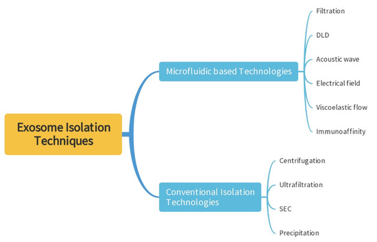 Microfluidic Technology for the Isolation and Analysis of Exosomes