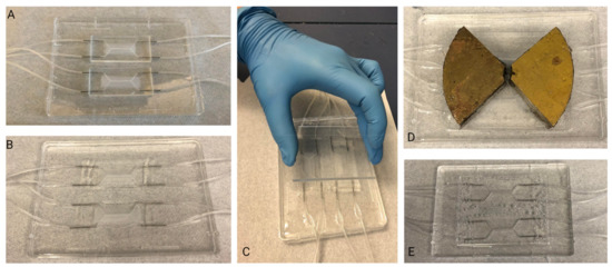 PDMS Organ-On-Chip Design and Fabrication: Strategies for Improving ...