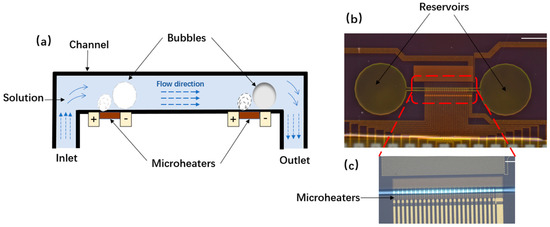 A Self-Regulated Microfluidic Device with Thermal Bubble Micropumps