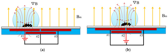 Characterization of a Droplet Containing the Clustered Magnetic Beads ...