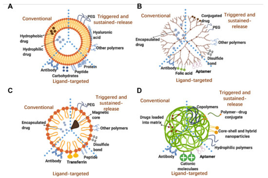 Sustained Drug Release from Smart Nanoparticles in Cancer Therapy: A ...