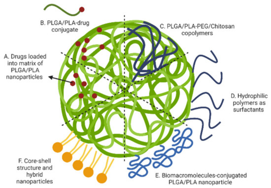 Sustained Drug Release from Smart Nanoparticles in Cancer Therapy: A ...