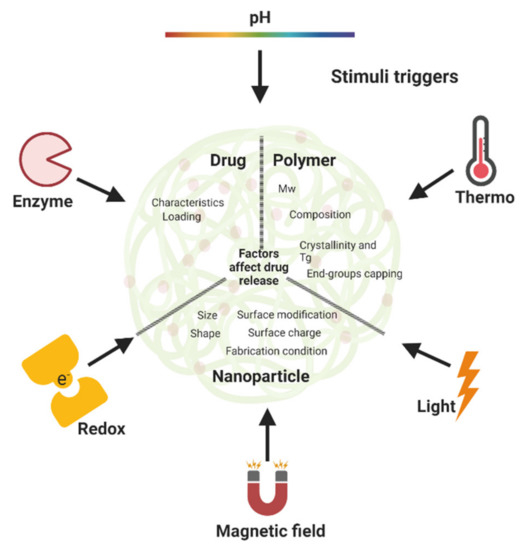 Sustained Drug Release from Smart Nanoparticles in Cancer Therapy: A ...