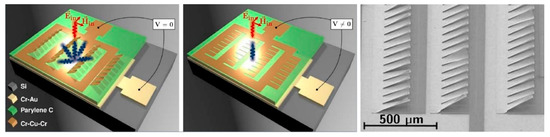 Micromachines | Free Full-Text | Recent Progress of Terahertz Spatial Light Modulators ...