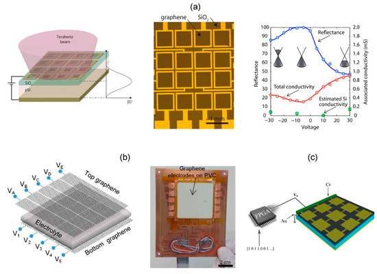 Micromachines | Free Full-Text | Recent Progress of Terahertz Spatial Light Modulators ...