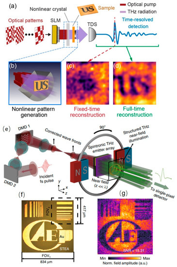 Micromachines | Free Full-Text | Recent Progress of Terahertz Spatial Light Modulators ...