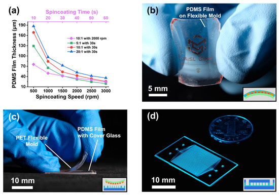 A Glass–Ultra-Thin PDMS Film–Glass Microfluidic Device for Digital PCR ...