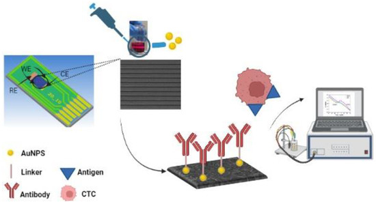 Vertical Graphene-Based Biosensor for Tumor Cell Dielectric Signature ...